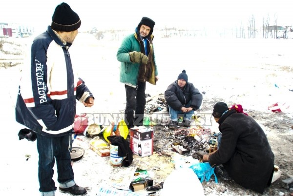 Viata de boschetar - FOTO, VIDEO • Buna Ziua Iasi • BZI.ro