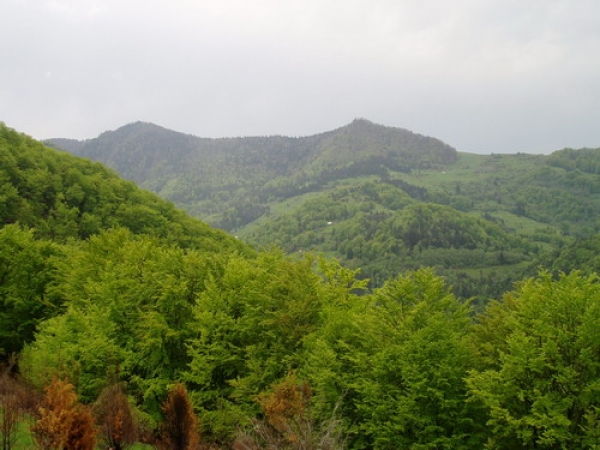 MUNTII CARPATI - Curiozitati • Buna Ziua Iasi • BZI.ro
