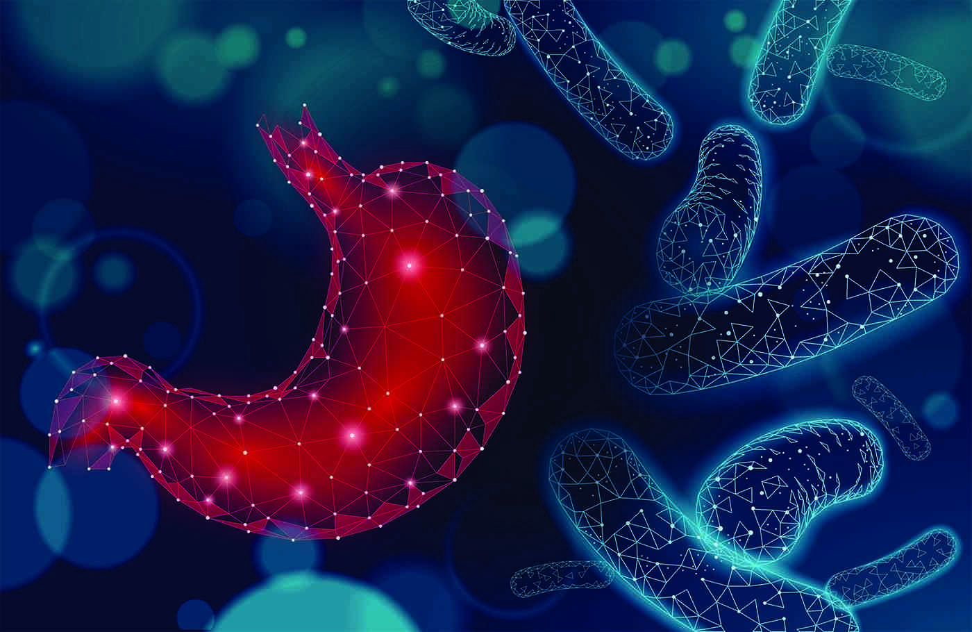 Cum să vă reparați mucoasa intestinala