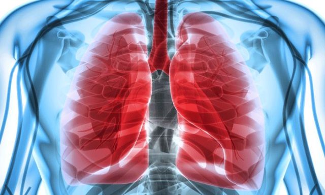 Leacuri bătrânești pentru plămâni. Cum să-ți cureți sistemul respirator ...