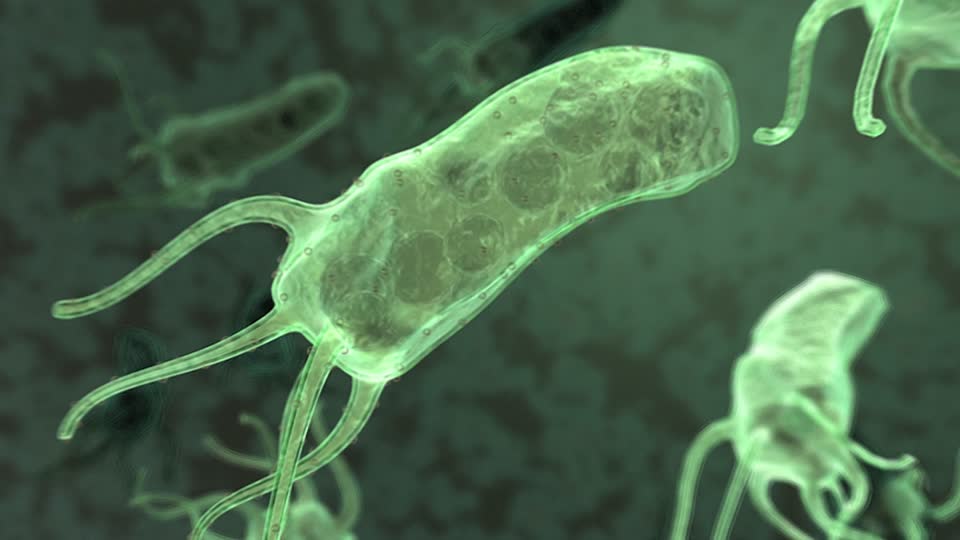 Helicobacter Pylori: Tratament naturist cu rezultate spectaculoase