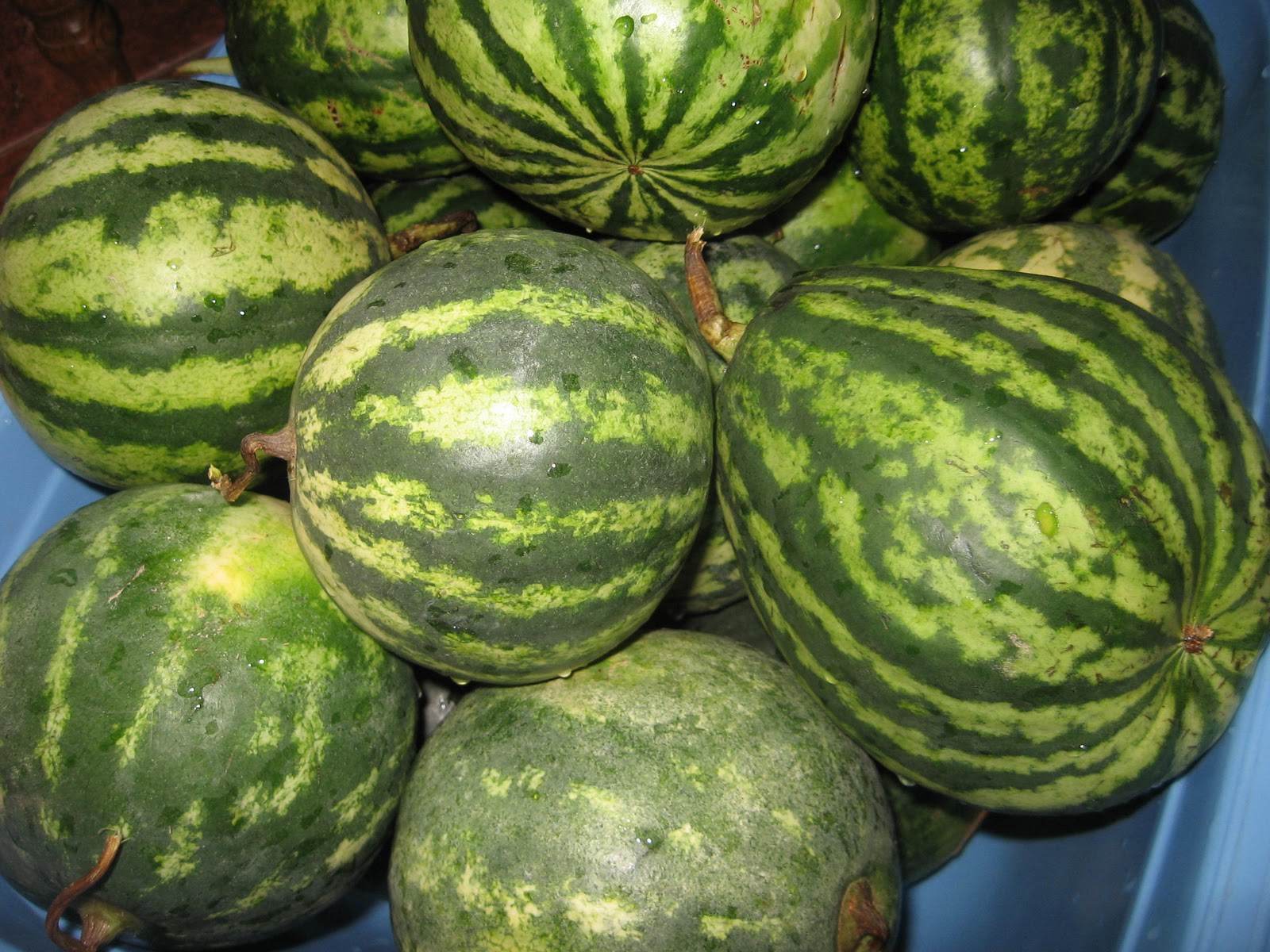 Cei mai fabuloși pepeni murați, după rețeta bunicii: Secretul cojii ...