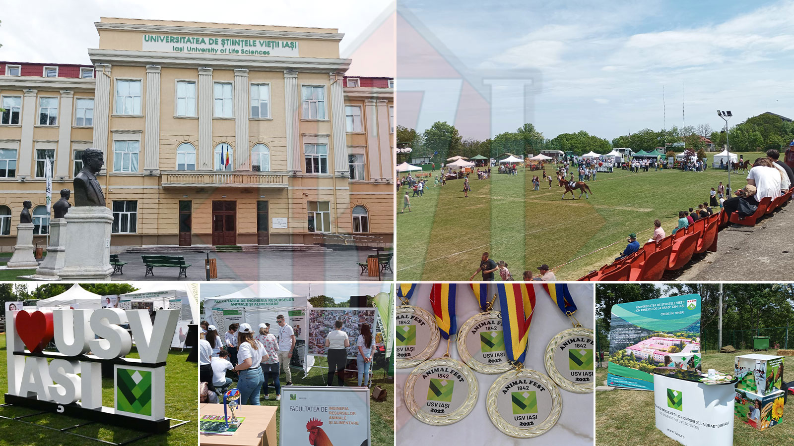 Succes total! Un mega-eveniment, organizat la Iași, a atras mii și mii ...