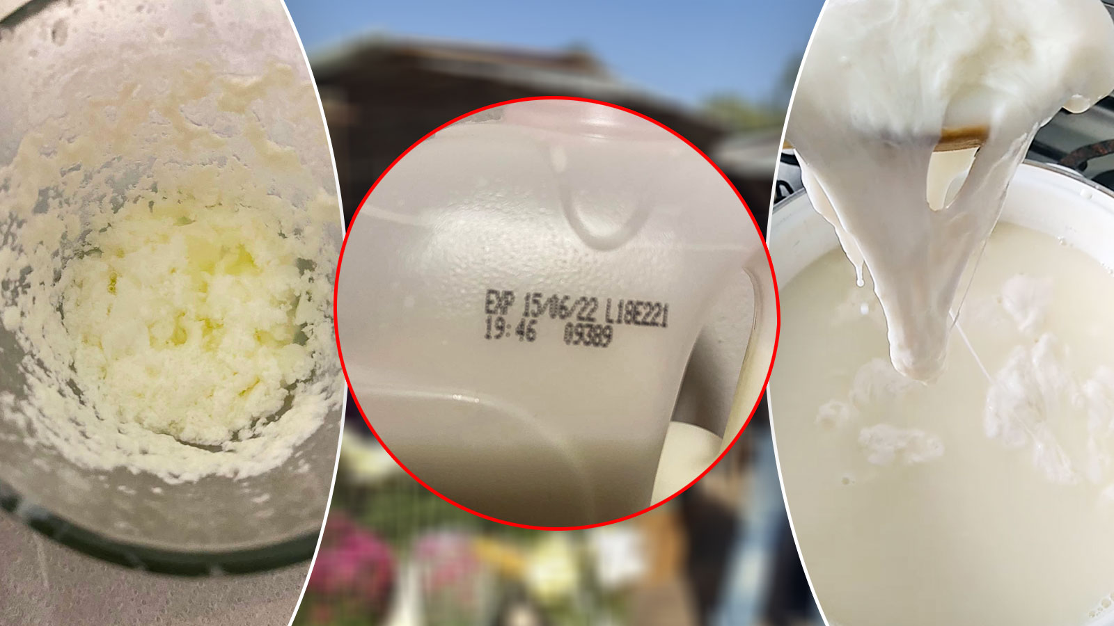 Lapte alterat în Iași! Doi ieșeni au cumpărat lapte stricat de la ...