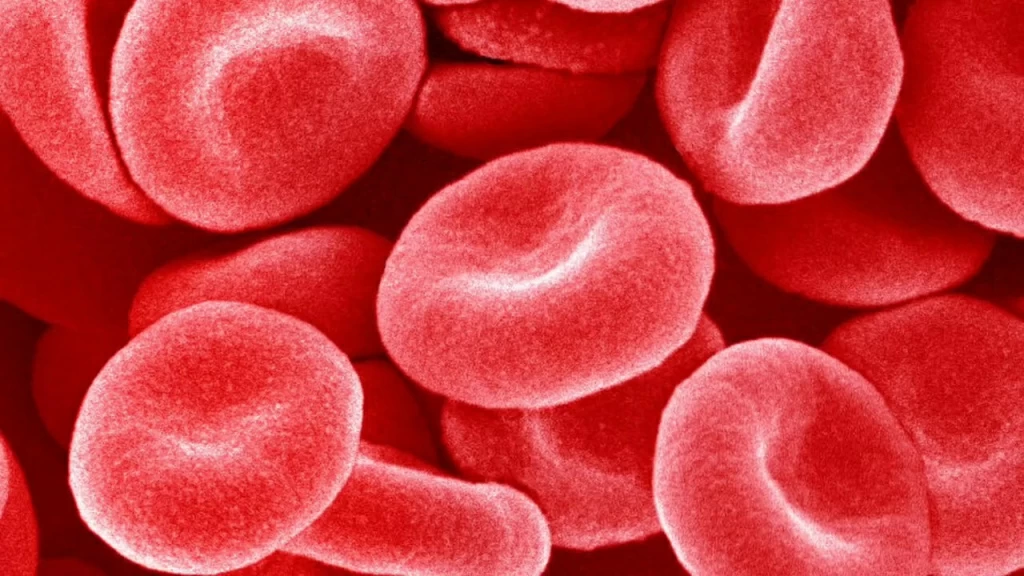 Hematii crescute. Ce îți poate arăta un test general de sânge