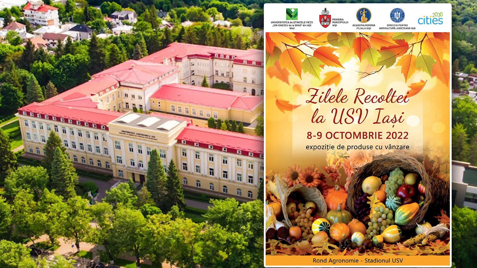 Un spectaculos târg al recoltei de toamnă, cu numeroși producători