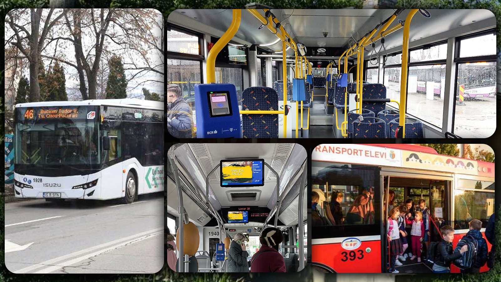 Cine sunt cei ce vor beneficia de transport gratuit în Zona