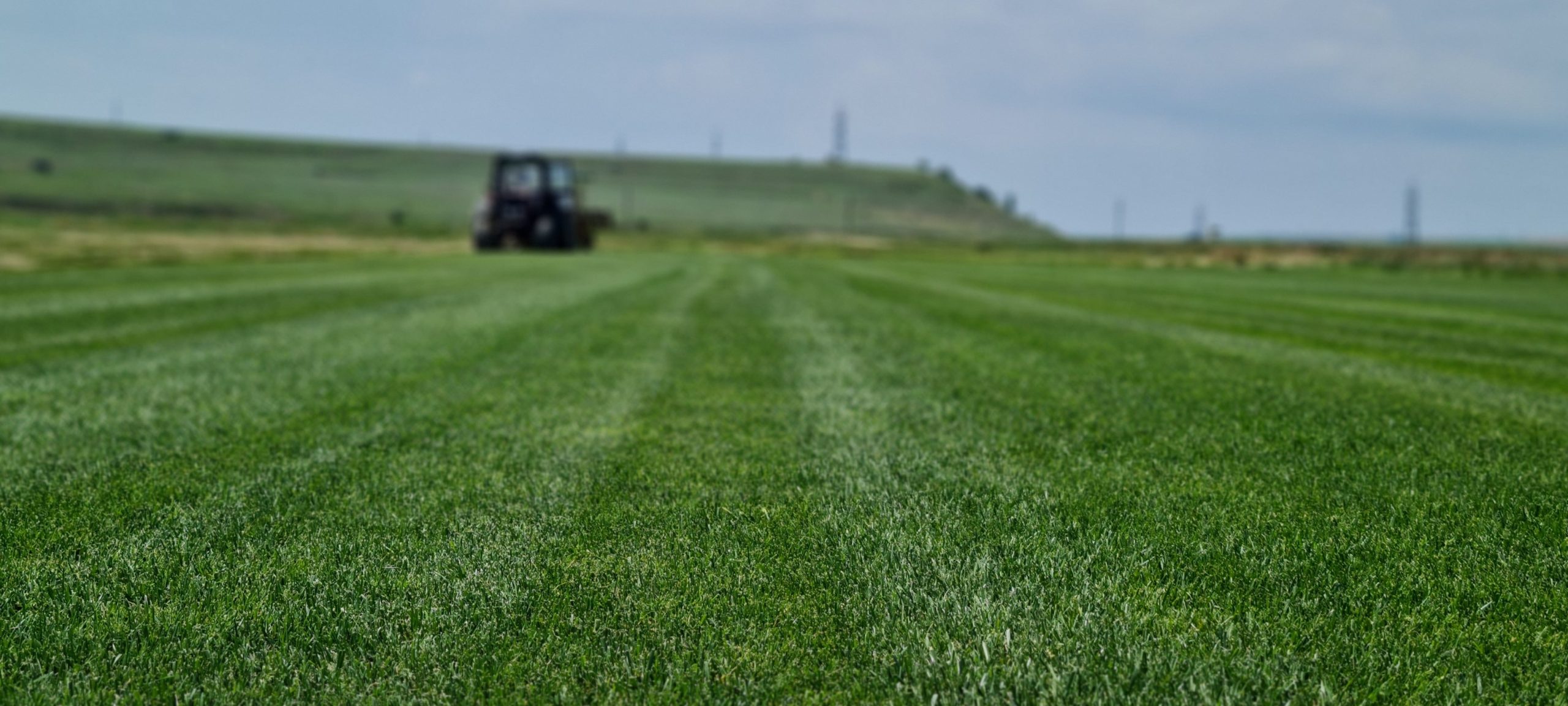 Iașul are cea mai modernă fermă de gazon