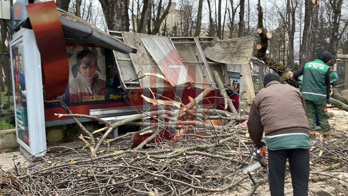 Rafalele de vânt au creat haos în Iaşi! Copaci căzuţi peste staţia ...