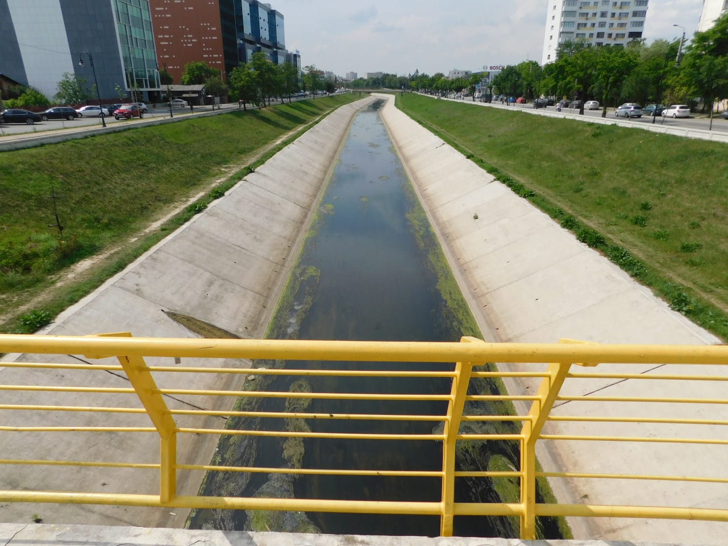 Cursă de rățuște de cauciuc pe Bahlui. Câștigătorul va primi