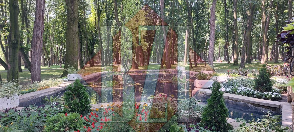 Imagini de o frumusețe rară, în Parcul Copou. Iazurile cu nuferi