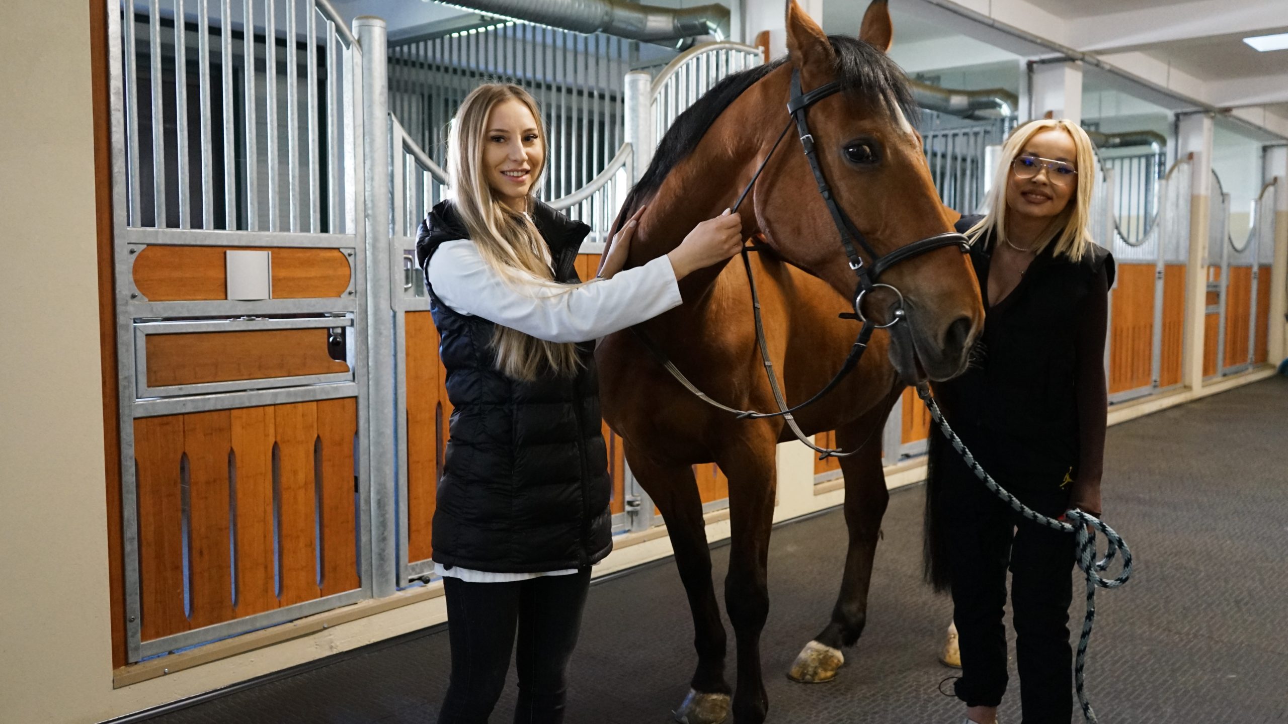 La Iași, pentru Admiterea 2023, o universitate vine