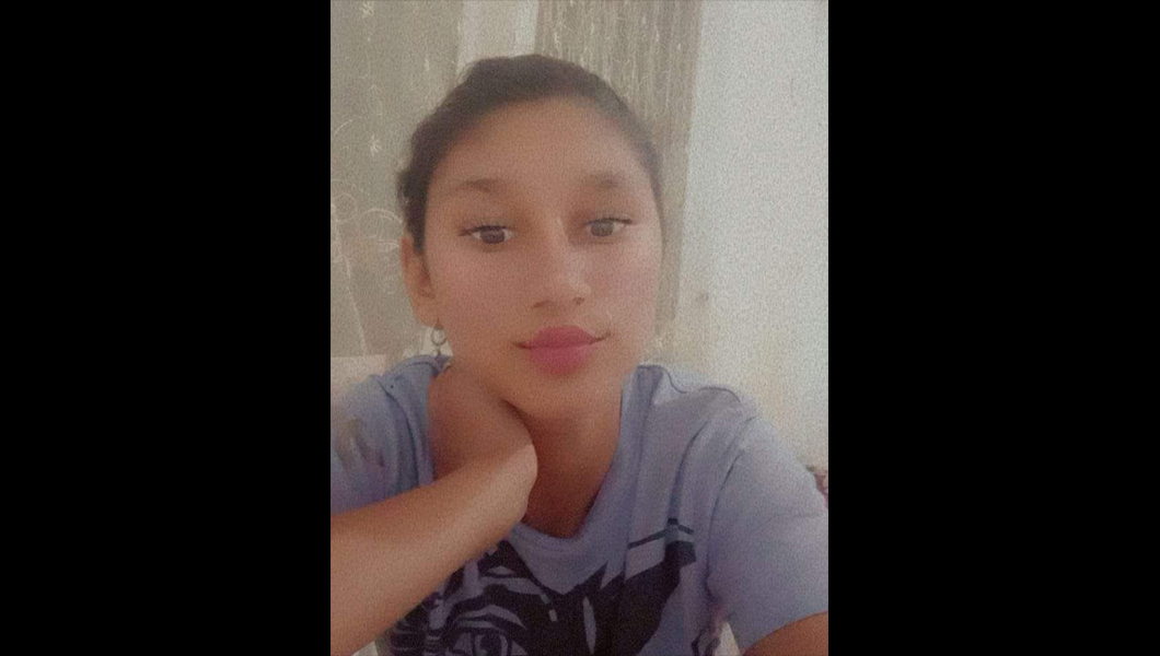 Ați văzut-o? Ionela Teodora Trofin, în vârstă de 13 ani, a dispărut de ...