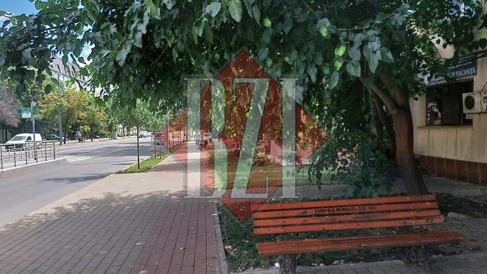 O ieșeancă a fost tâlhărită de un tânăr chiar în timpul zilei