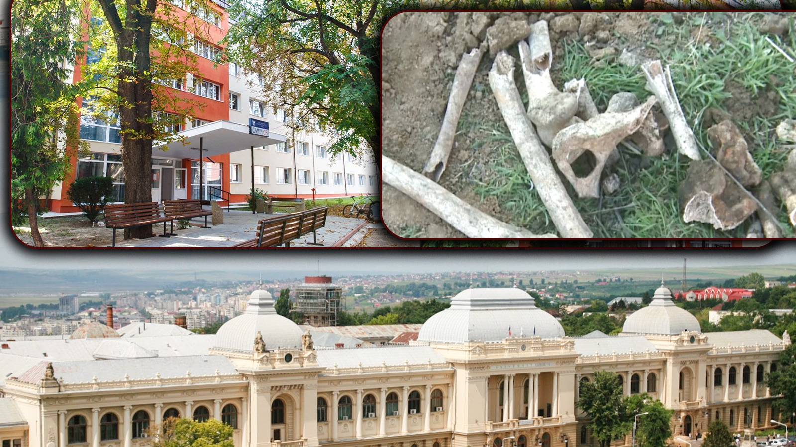 Aproximativ 200 de schelete umane au fost descoperite în spatele