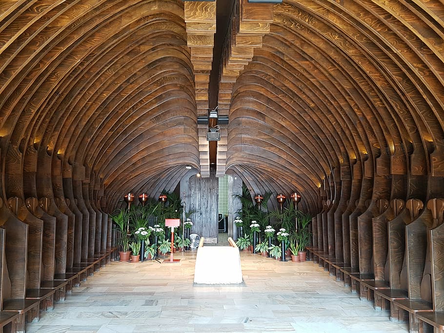 De ce trebuie sa respectam dorinta celor care opteaza pentru ...