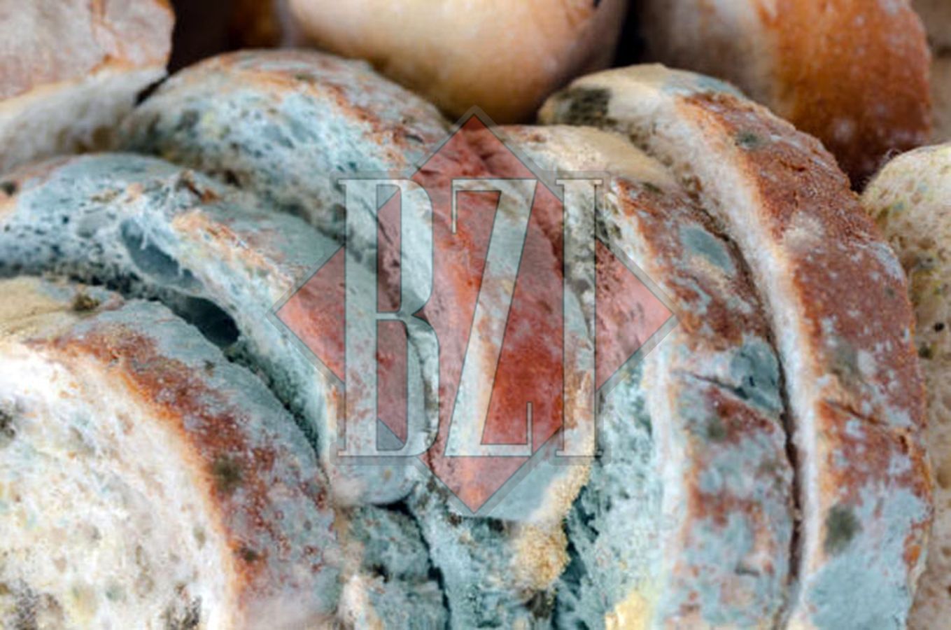 Doamna manager, ați da copiilor dumneavoastră lăturile