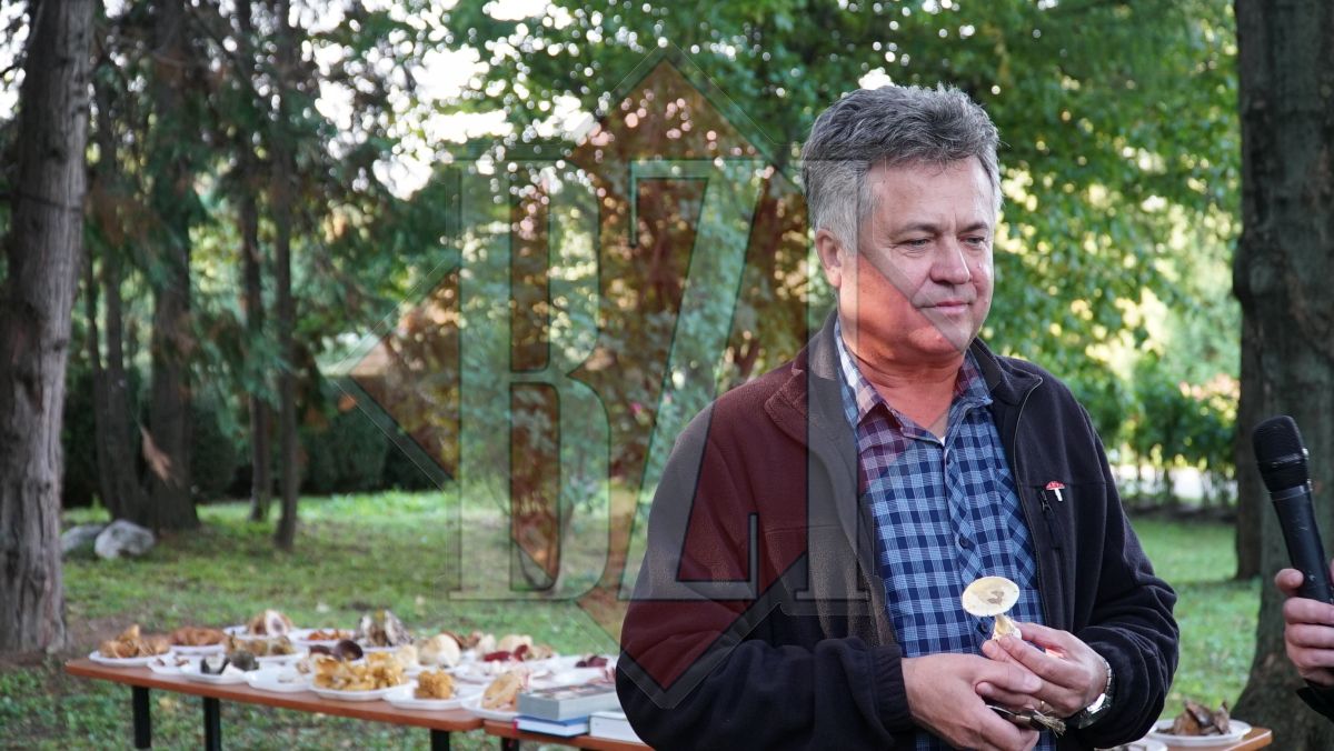 Seceta blochează expoziția de ciuperci din Grădina Botanică