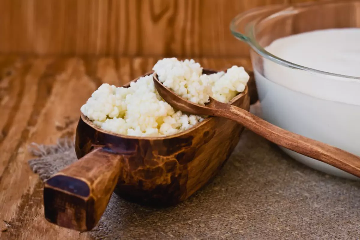 Unde se găsește ciuperca de chefir? Din ce locuri poate fi ...