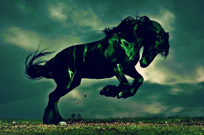 Zodiac chinezesc Cal 2024. Se anunță succese însă și multe sacrificii ...