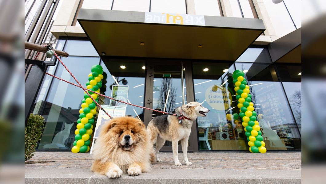 Animax a deschis un pet shop în Palas Campus. Reduceri de până la 20% ...