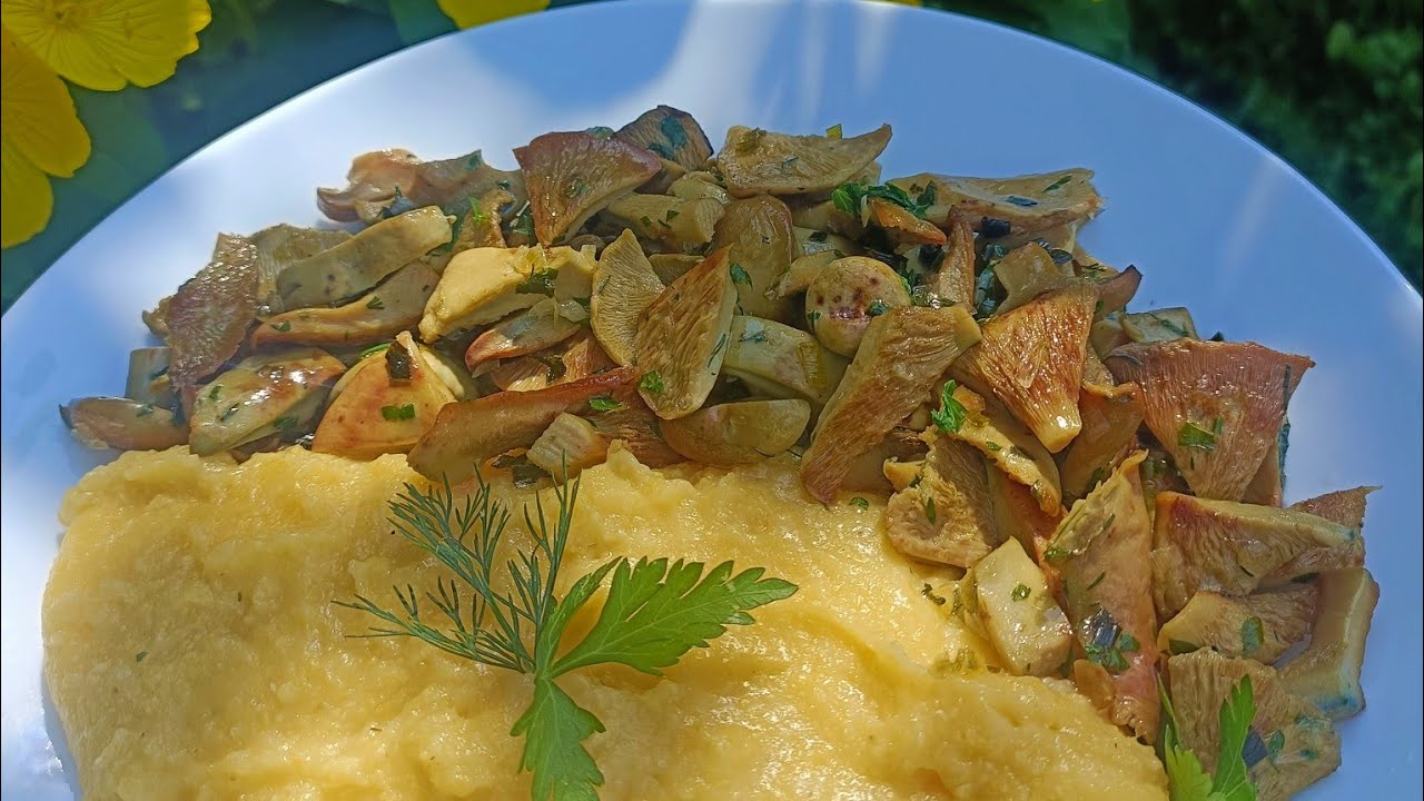 Rețete cu bureți lăptoși. Cum putem elimina gustul iute și amar din ...