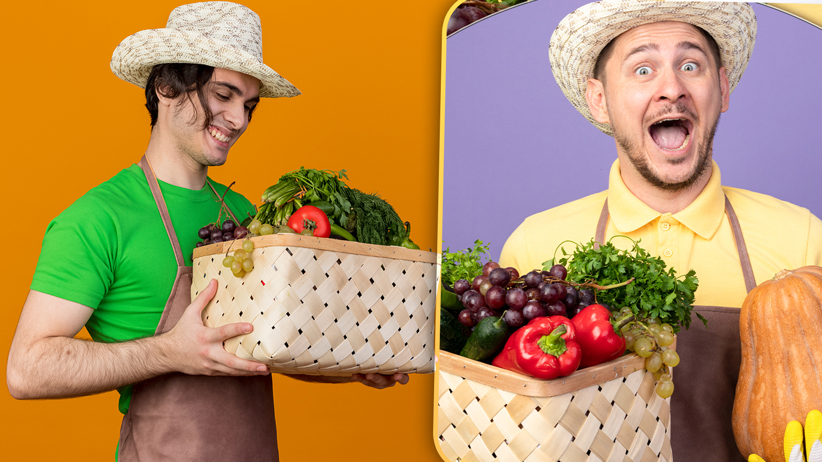 S-a publicat lista cu primii tineri fermieri din Iași care